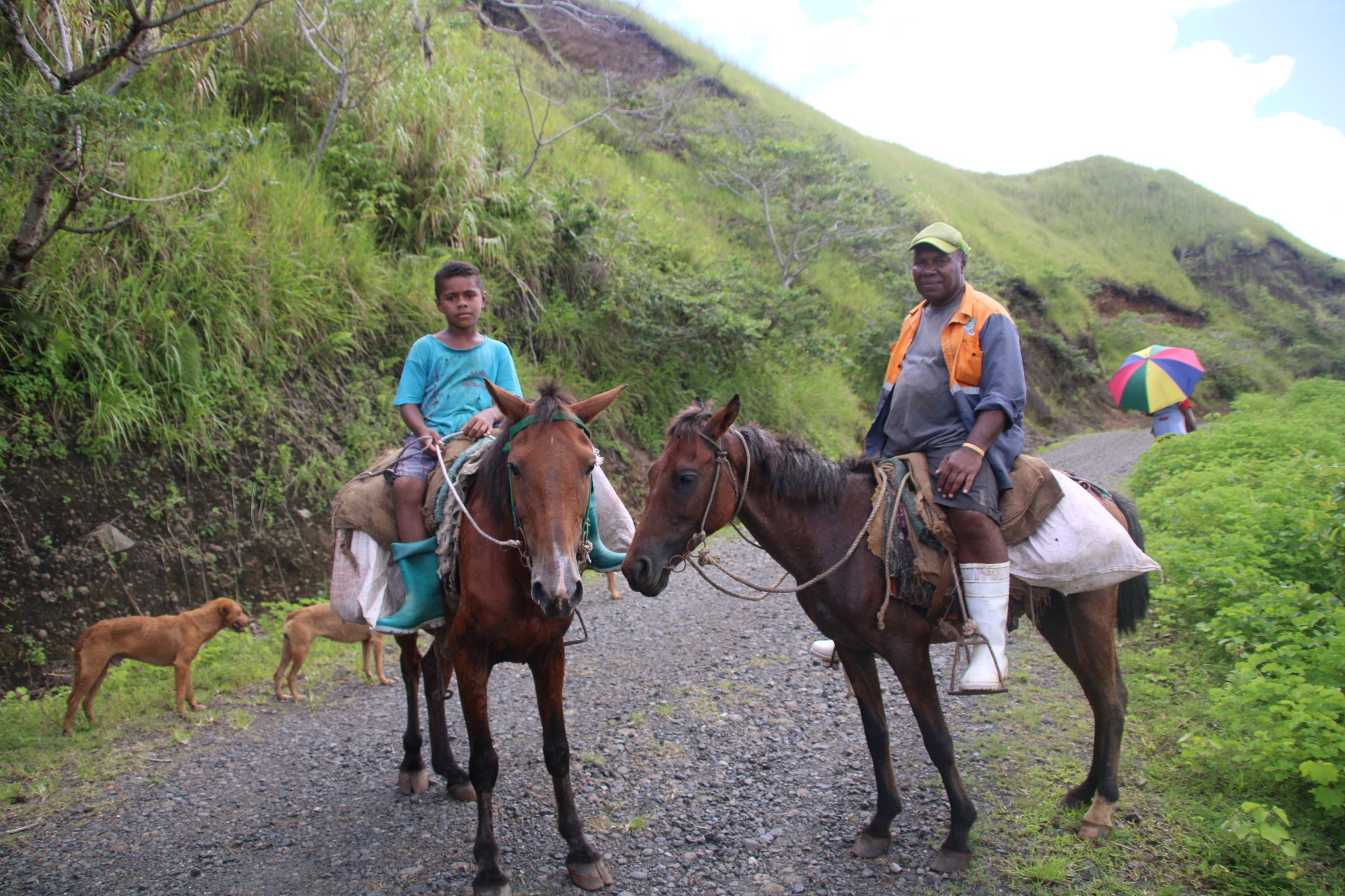 Pacific Islands Rural & Agriculture Stimulus Facility Project (PIRAS ...